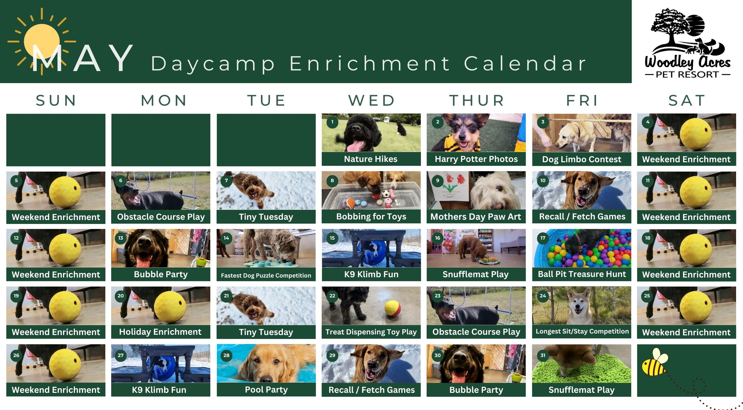 Woodley Acres Pet Resort - Monthly Daycamp Activity Calendar